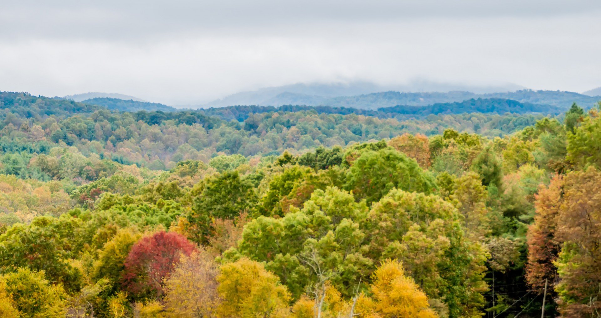 Lighting Fiber & Opportunity In Roanoke Valley, Virginia | Community ...