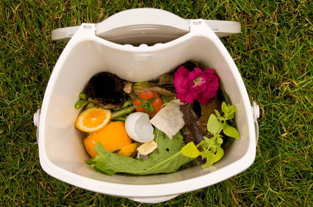 Release: New Report Argues Home Composting Is Vital to Local Waste ...