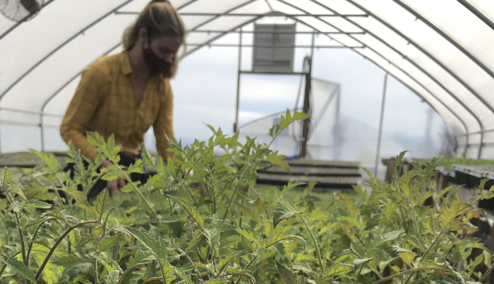 Local Farms Key to Healthy and Resilient Food Systems — Episode 140 of ...