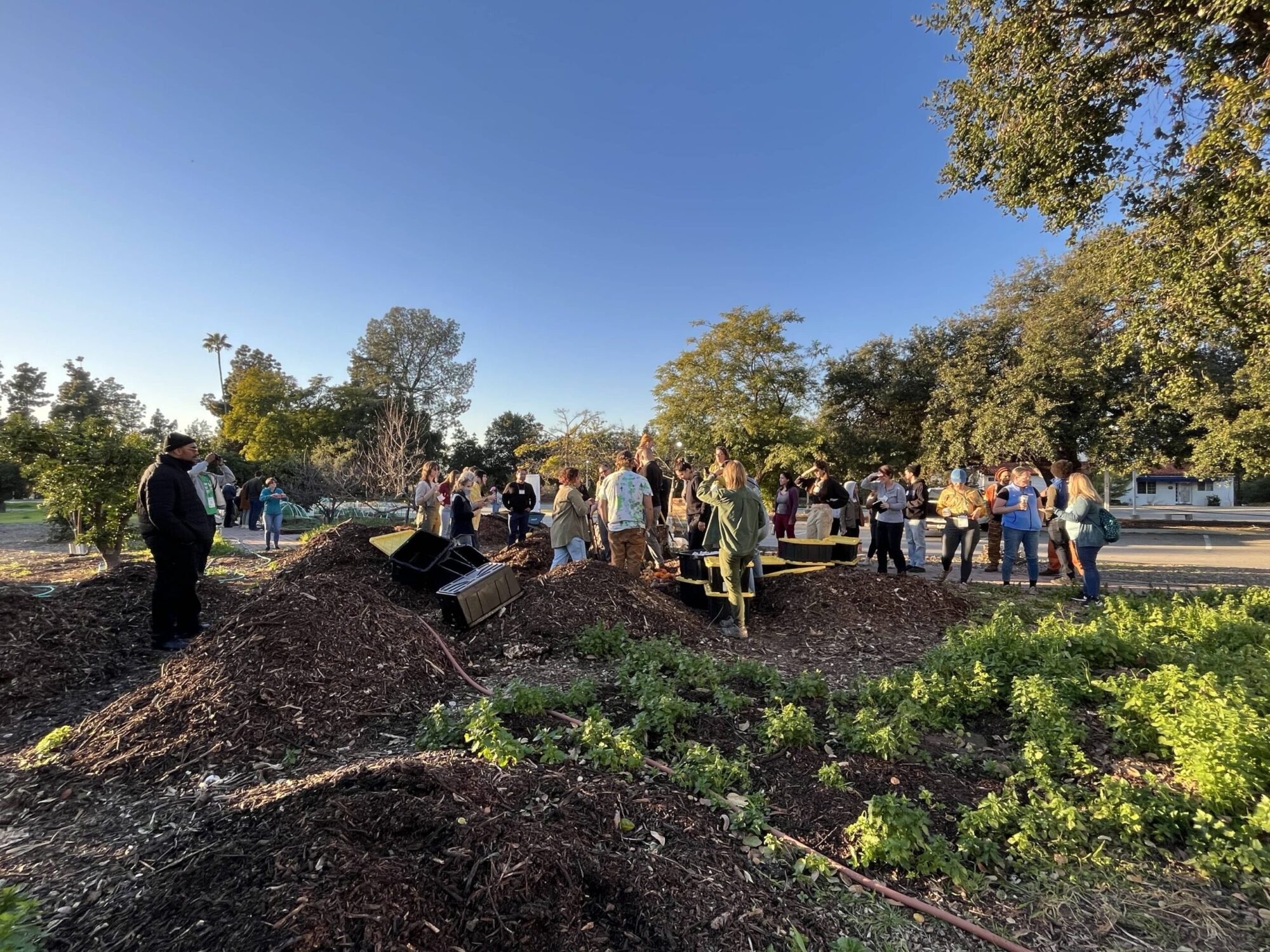 Webinar Series: Scaling Up Community Composting - Institute for Local ...