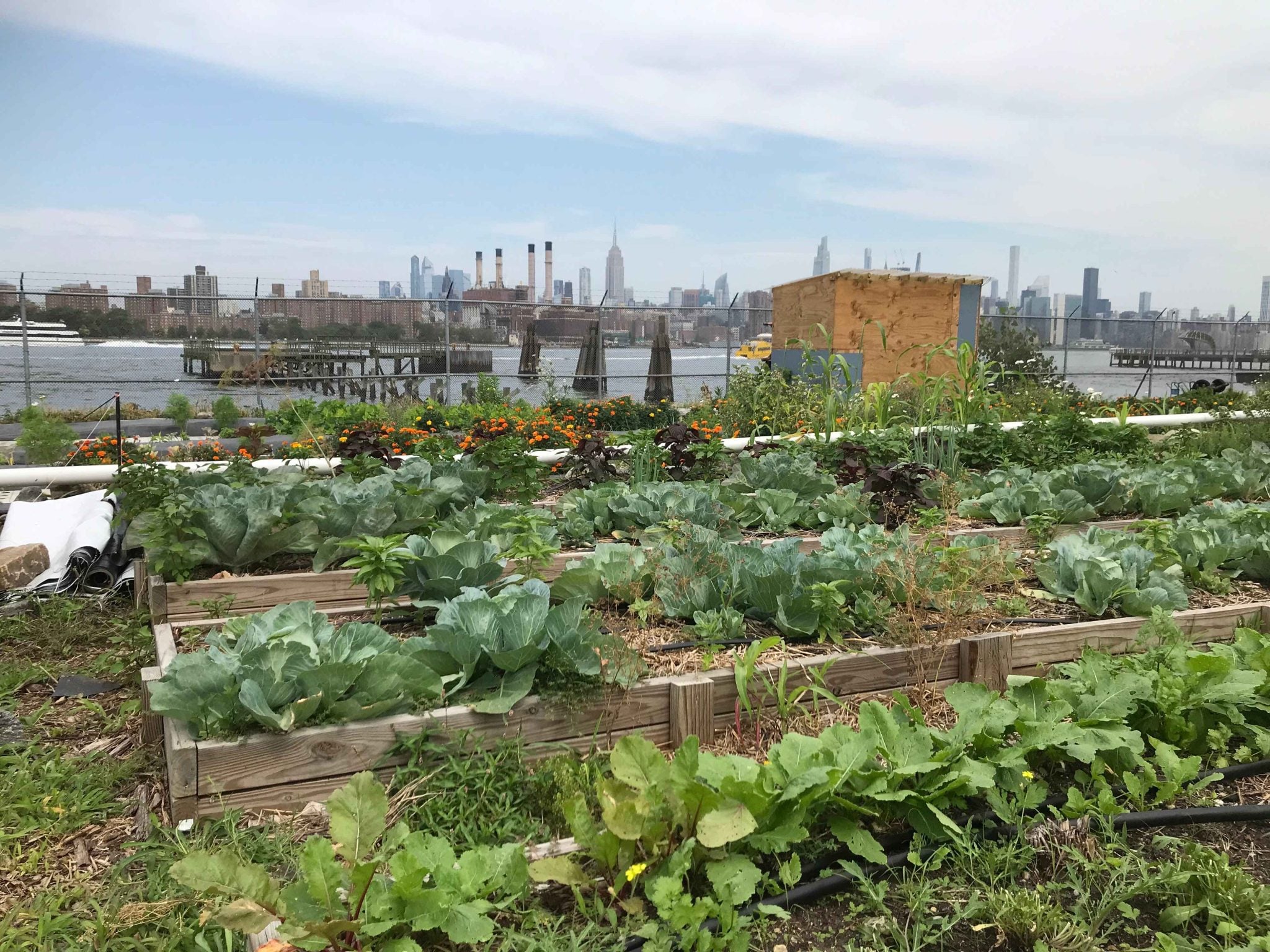 Composting for Community - Institute for Local Self-Reliance