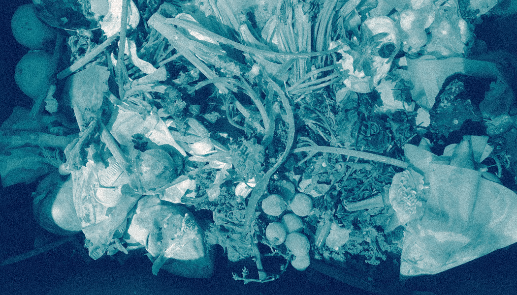 Education & Outreach to Reduce Contamination in Composting | Composting ...
