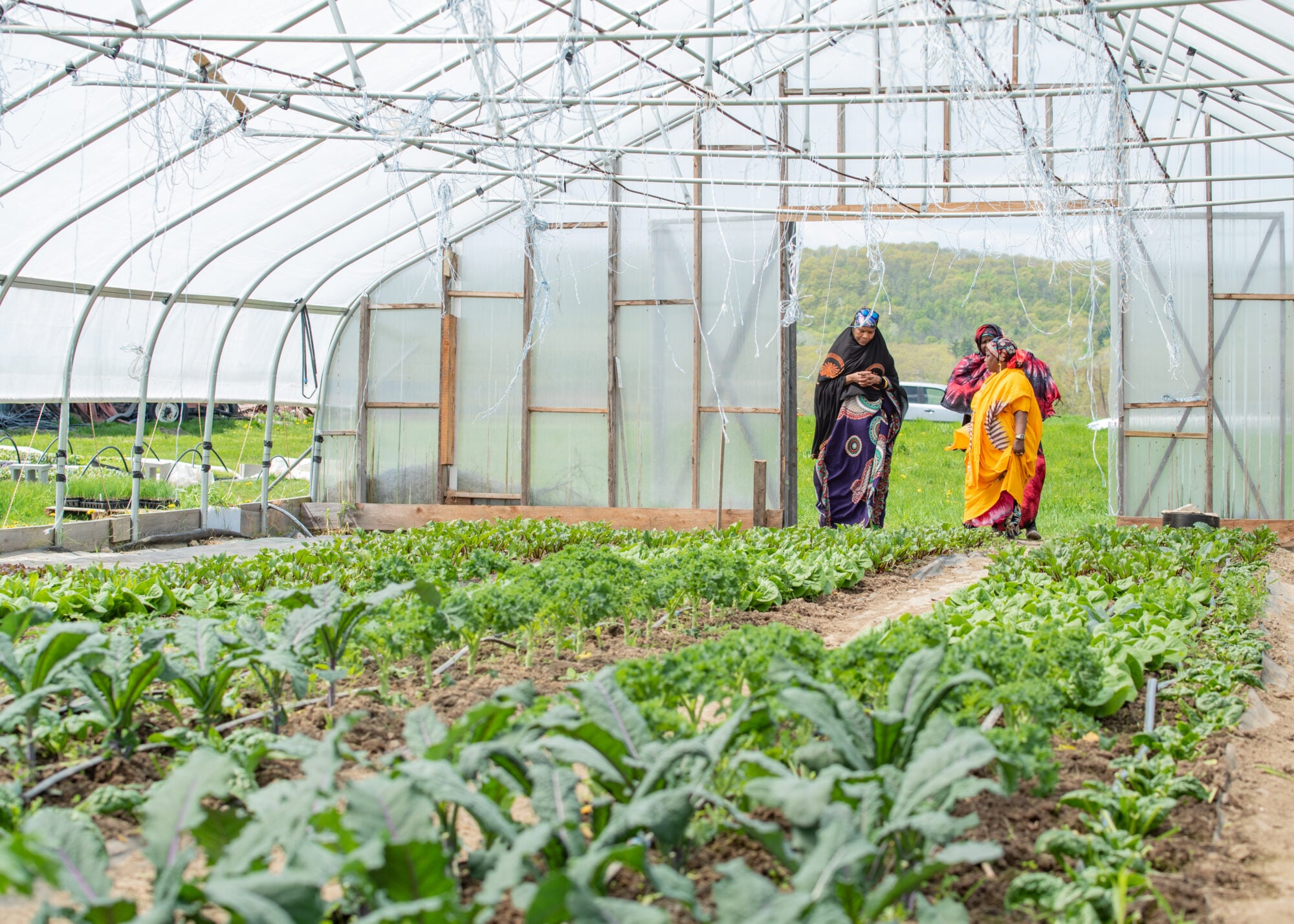 ILSR Awards $370,000 to Community Composting Projects in Underserved ...